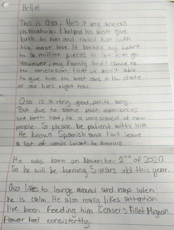 Lee County Animal Services Adoption Search Results